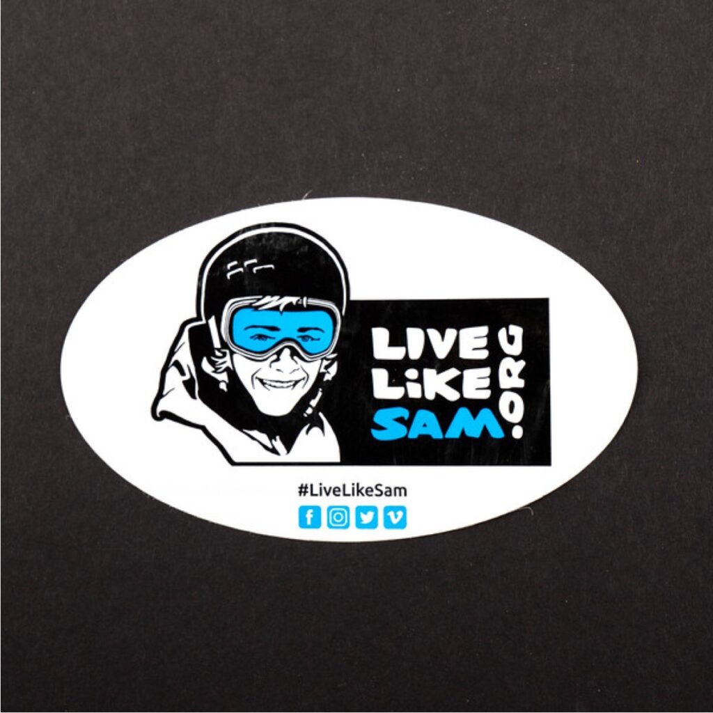 Stickers (Set of 5) | Live Like Sam